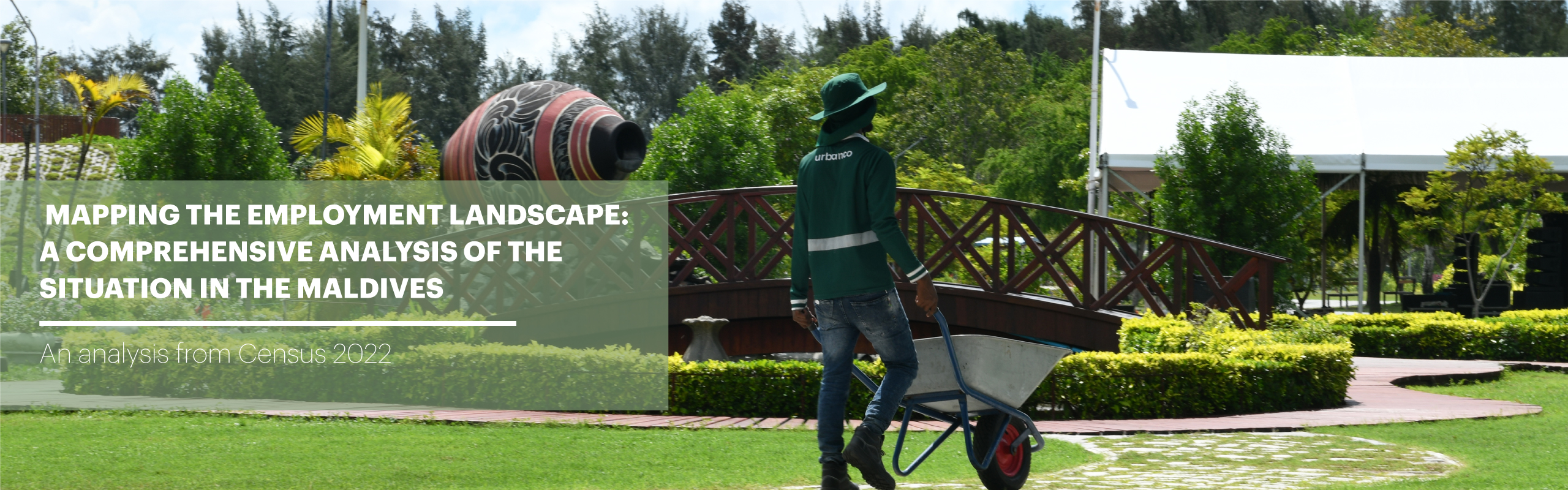 Mapping the Employment Landscape: A Comprehensive Analysis of the ...